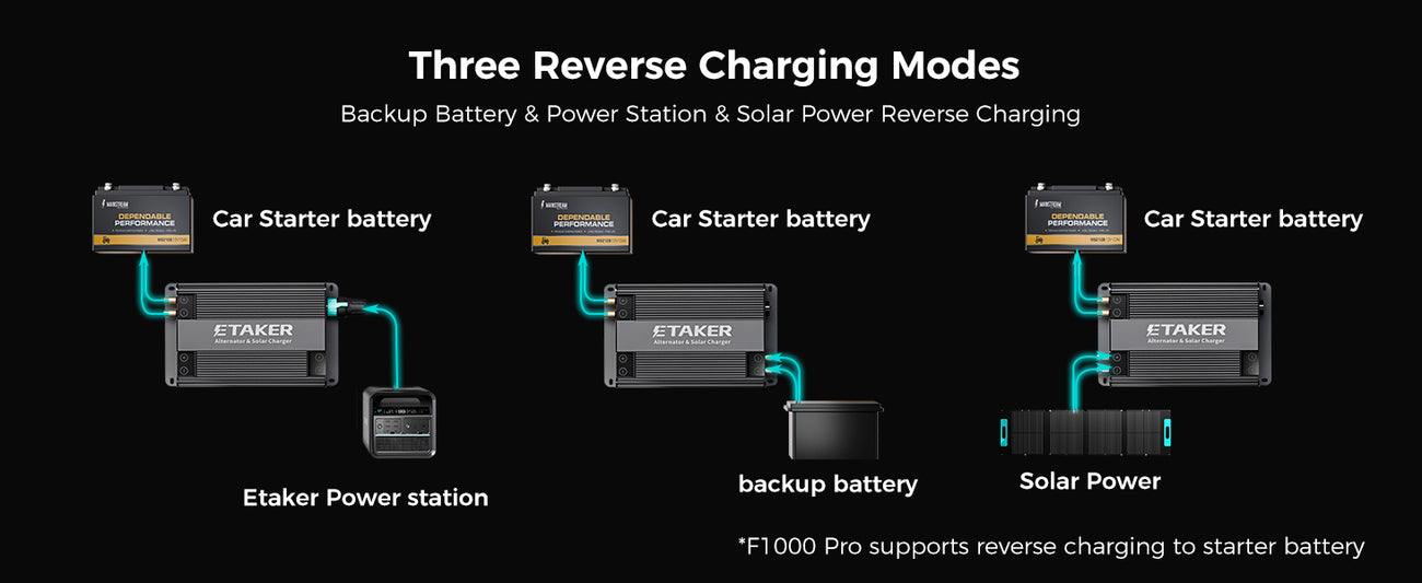 F1000 Pro Smart Charger for Power Stations & Batteries | 1000W Dual-In ...
